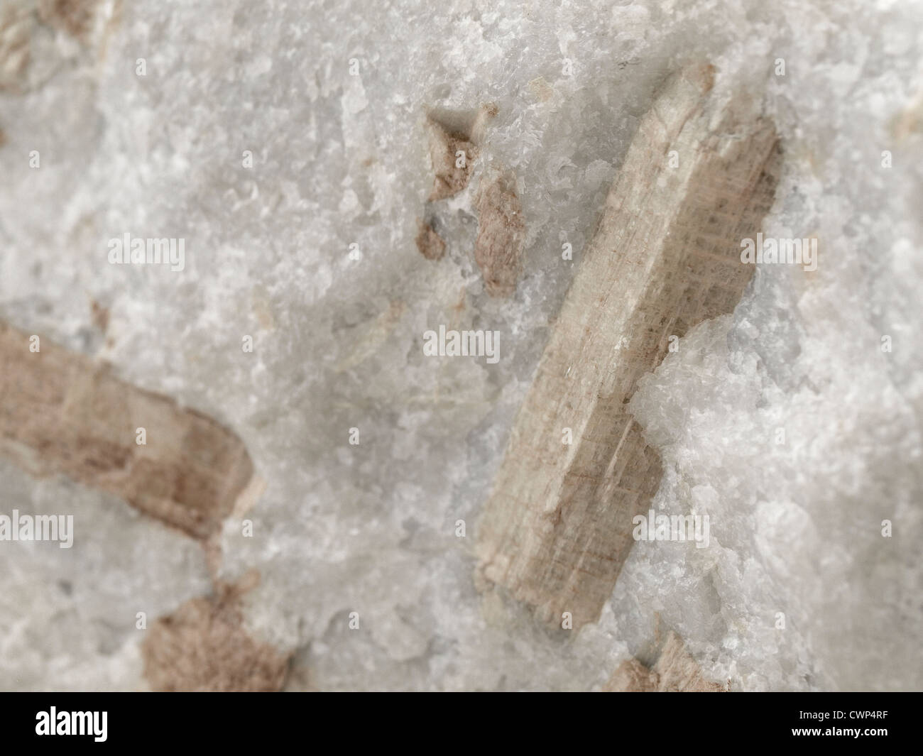 Tremolite in dolomite marble; Batocina, Serbia Stock Photo - Alamy