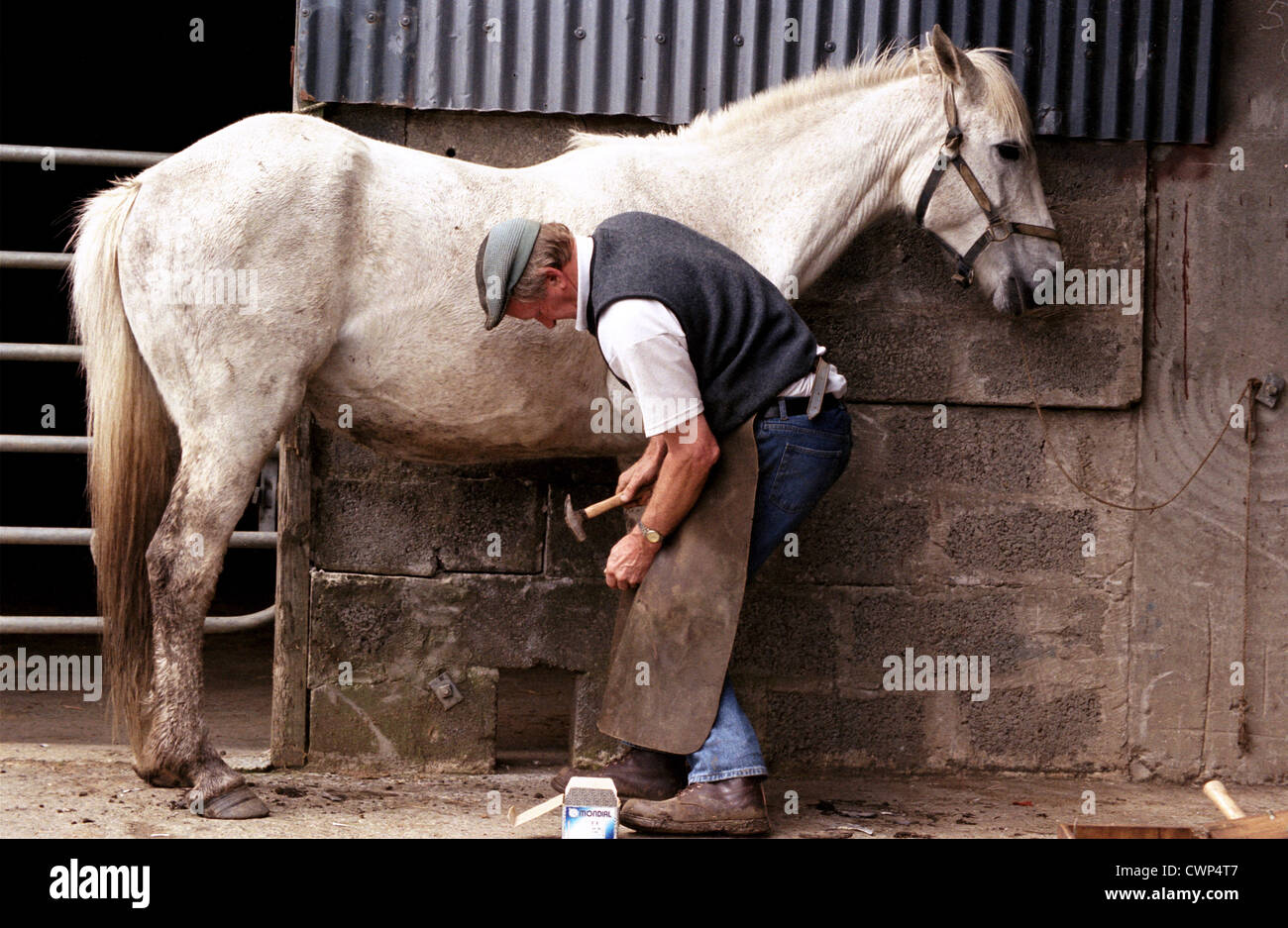 Farmer shoes a horse in rural Ireland Stock Photo - Alamy