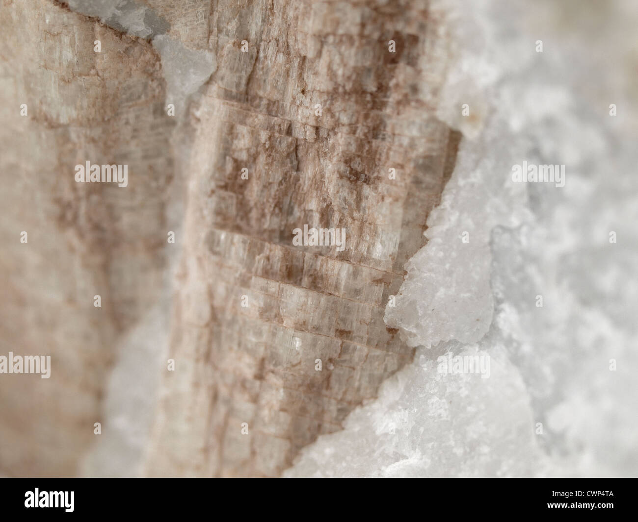 Tremolite hi-res stock photography and images - Alamy