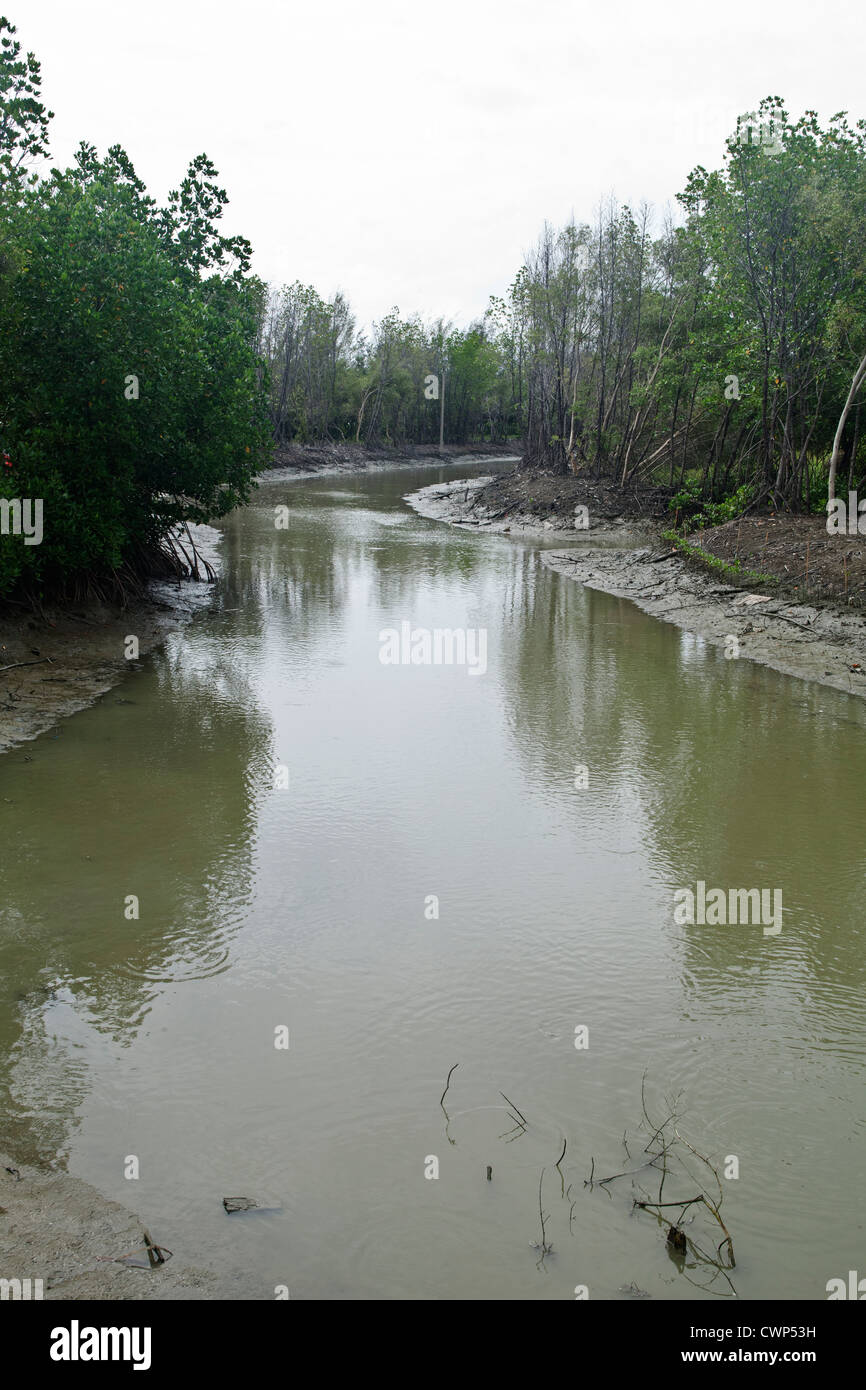 Mangrove float hi-res stock photography and images - Alamy