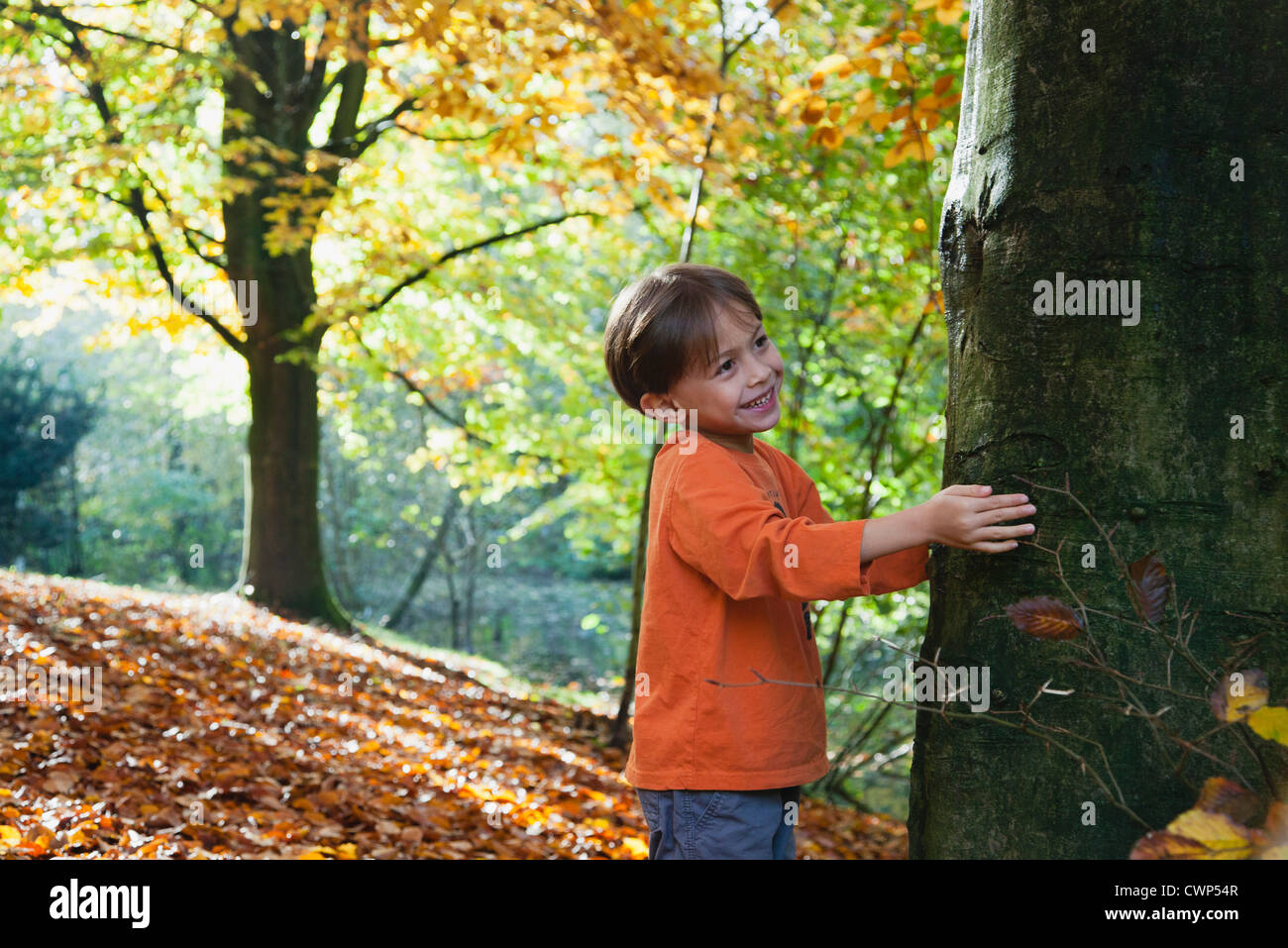 Boy touching tree trunk hi-res stock photography and images - Alamy