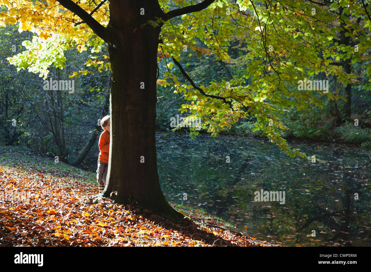 Hidden Face Tree High Resolution Stock Photography and Images - Alamy