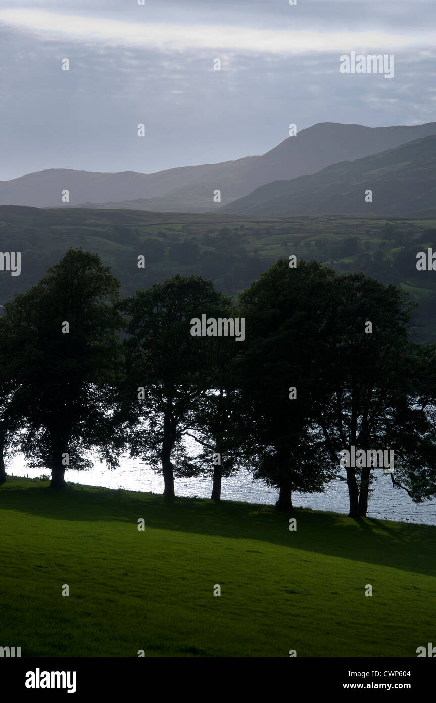 Brown pike hi-res stock photography and images - Alamy