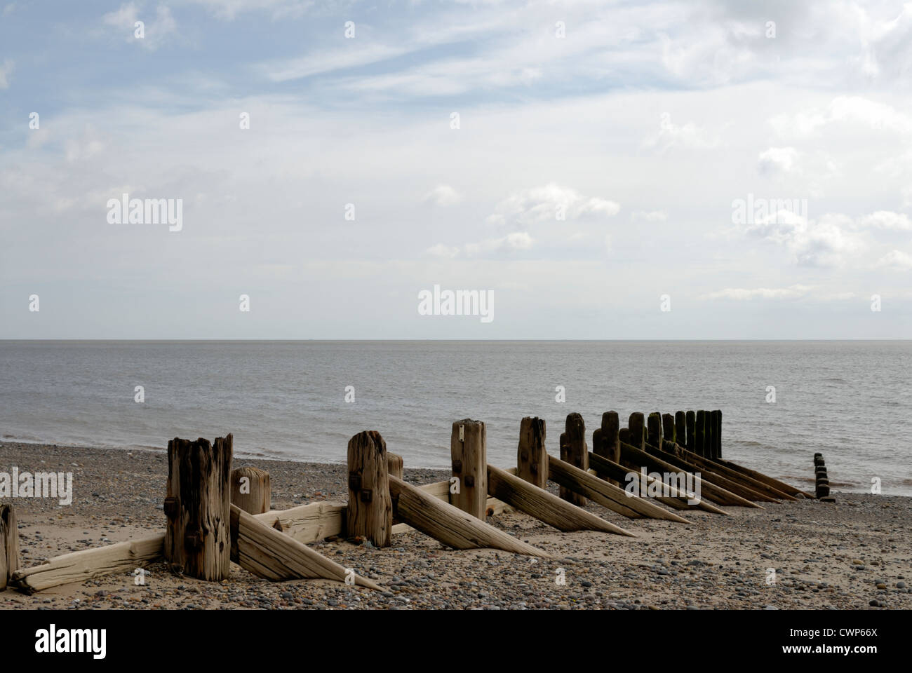 Spurn point birds hi-res stock photography and images - Alamy