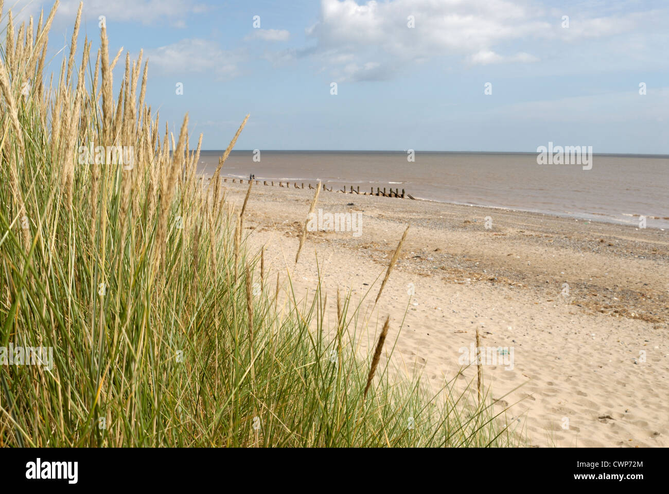 Defenders of the coast hi-res stock photography and images - Alamy