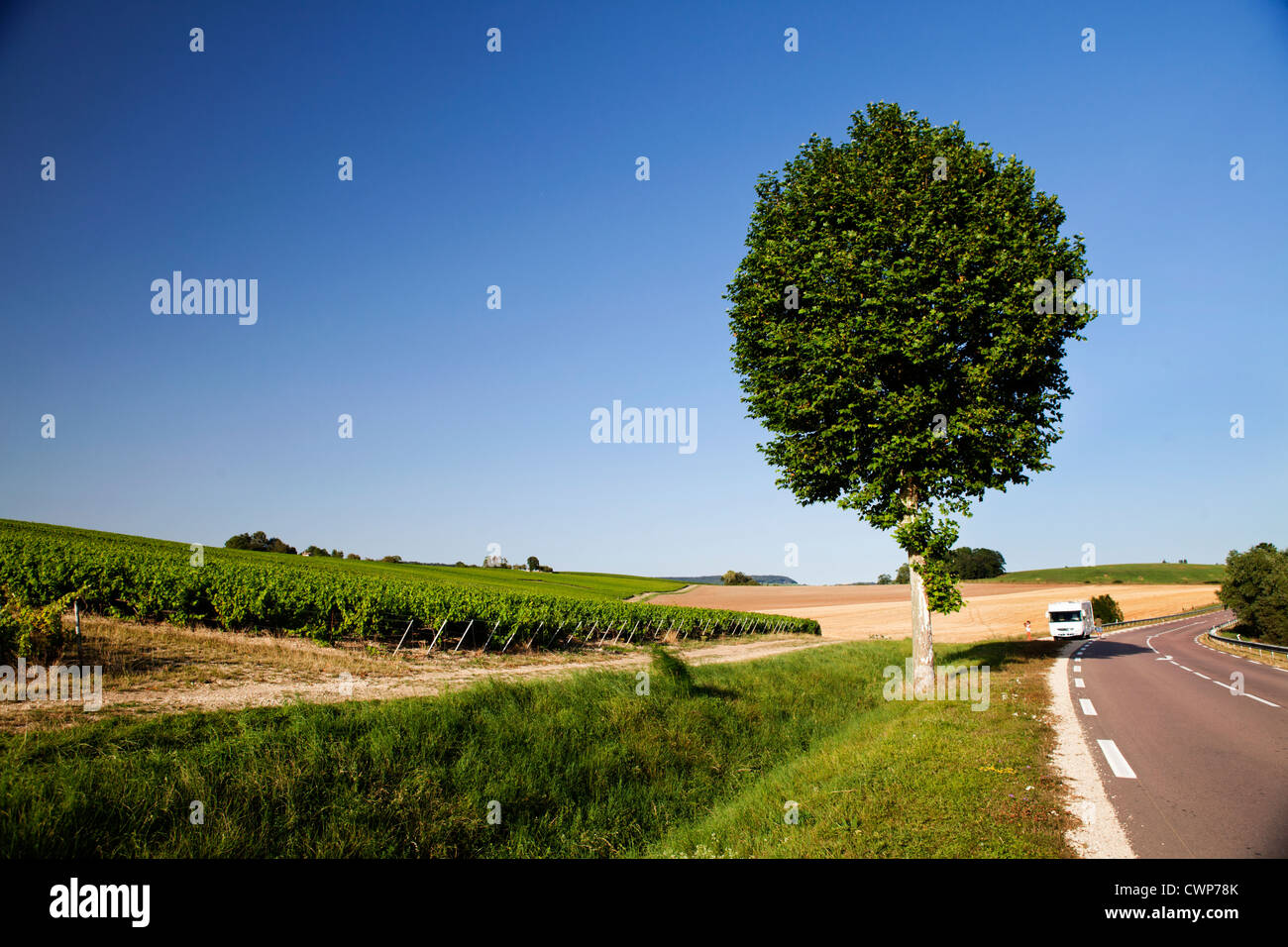 Champagne Landscape. France Stock Photo - Alamy