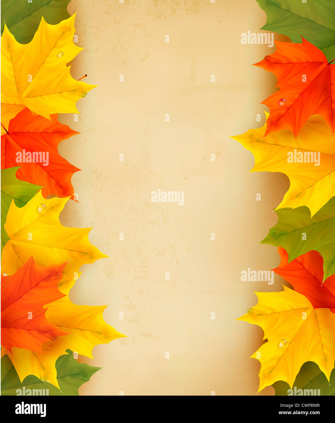 Old border paper leaves hi-res stock photography and images - Alamy