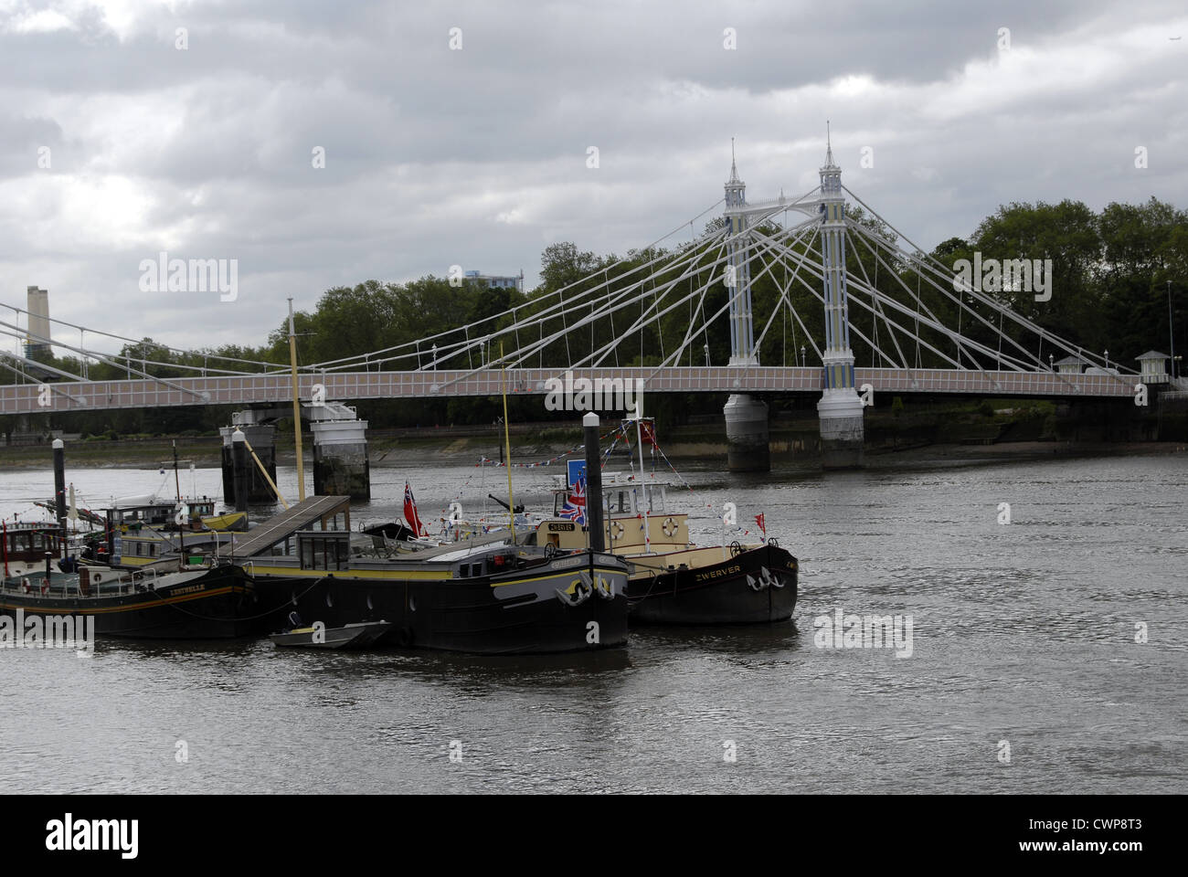Prince Albert Bridge in Chelsea Stock Photo - Alamy