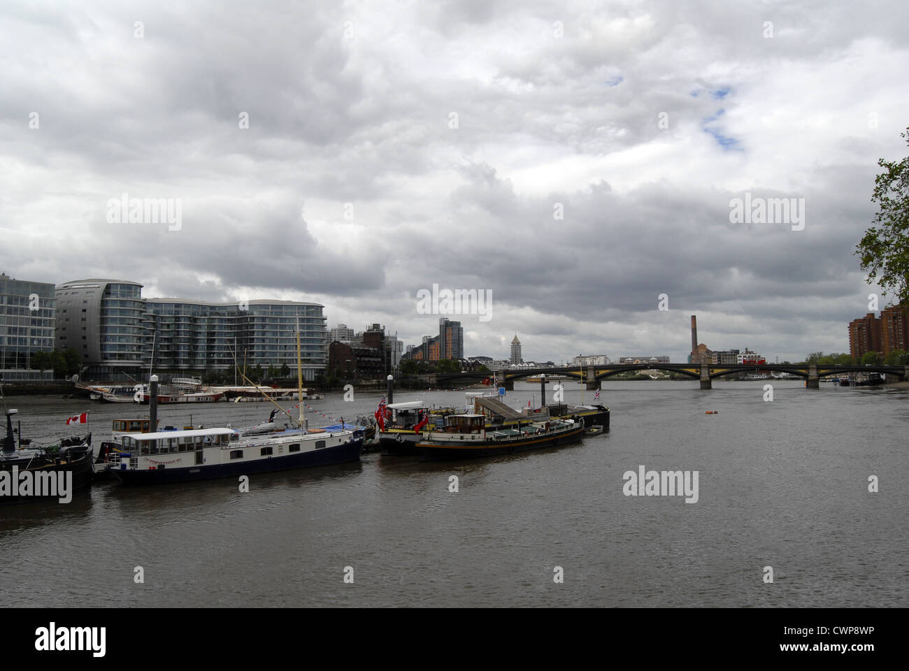Prince Albert Bridge in Chelsea Stock Photo - Alamy
