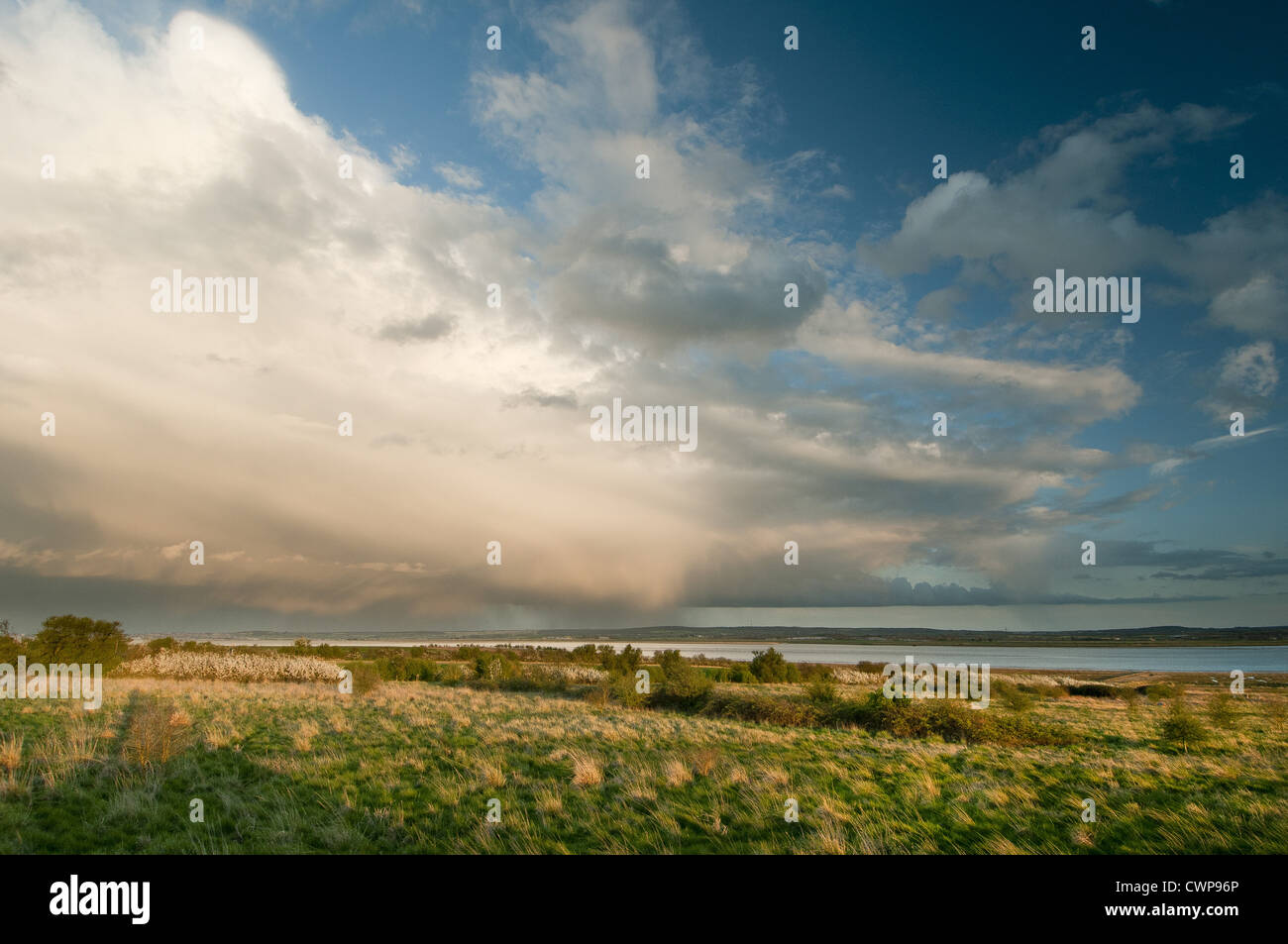 Rainclouds over coastal marshland habitat, The Swale Estuary, Hernhill ...