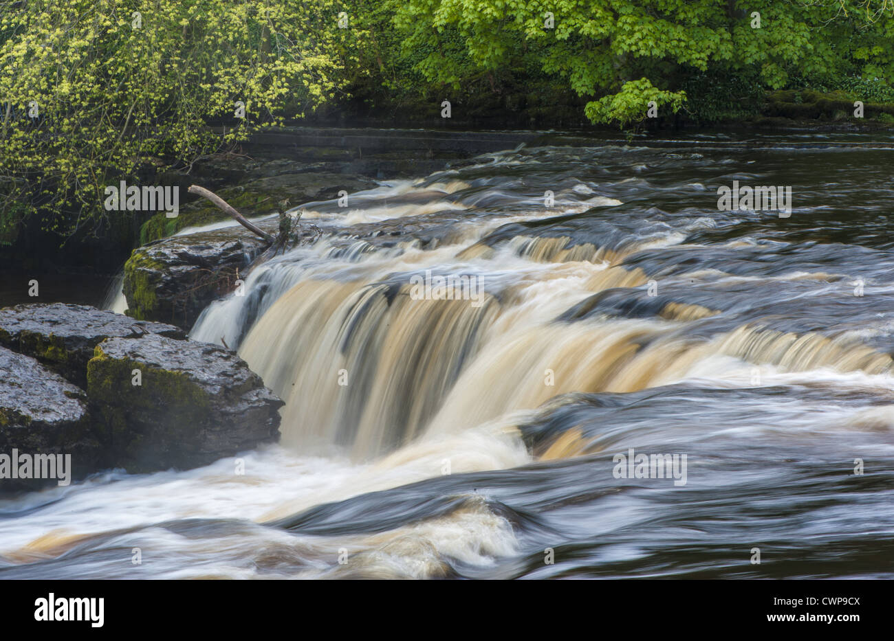View of river and waterfall, Aysgarth Falls, River Ure, Askrigg ...