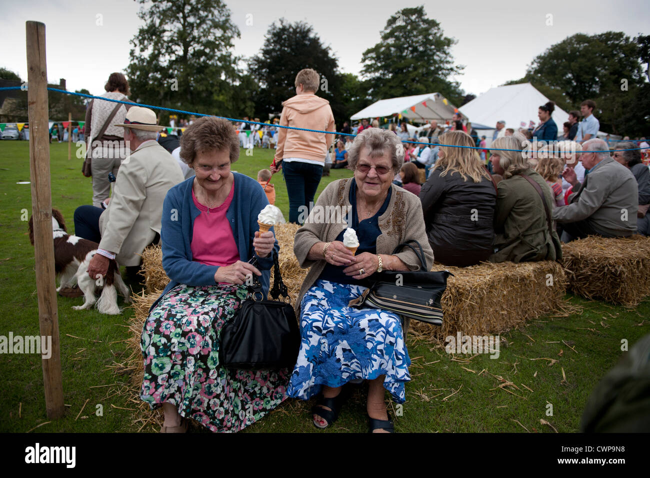 Cavendish Village, Suffolk, England, UK.The Annual Village Fete on the ...