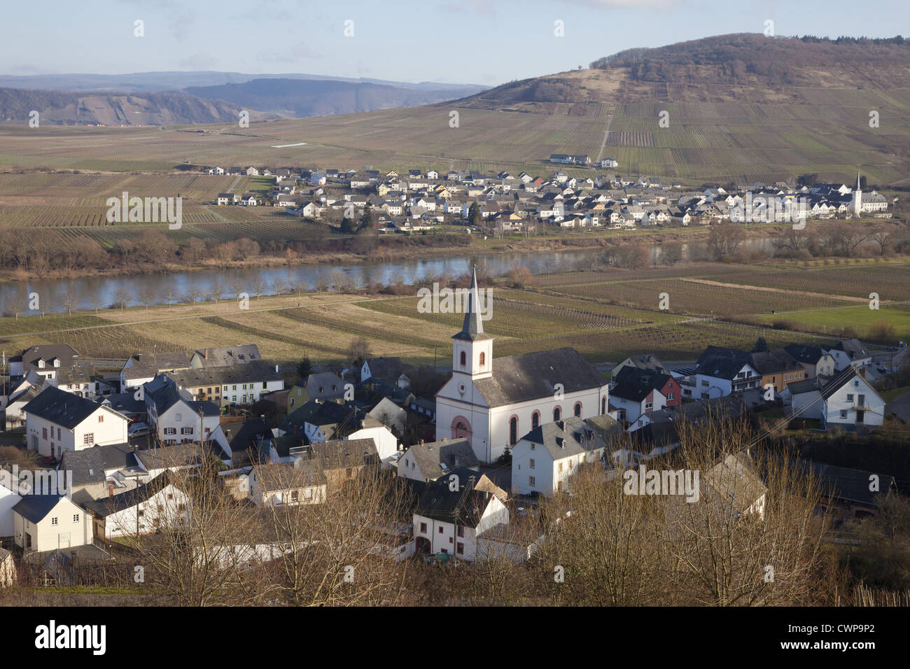View of village with church, vineyards and river, Ensch, River Moselle ...