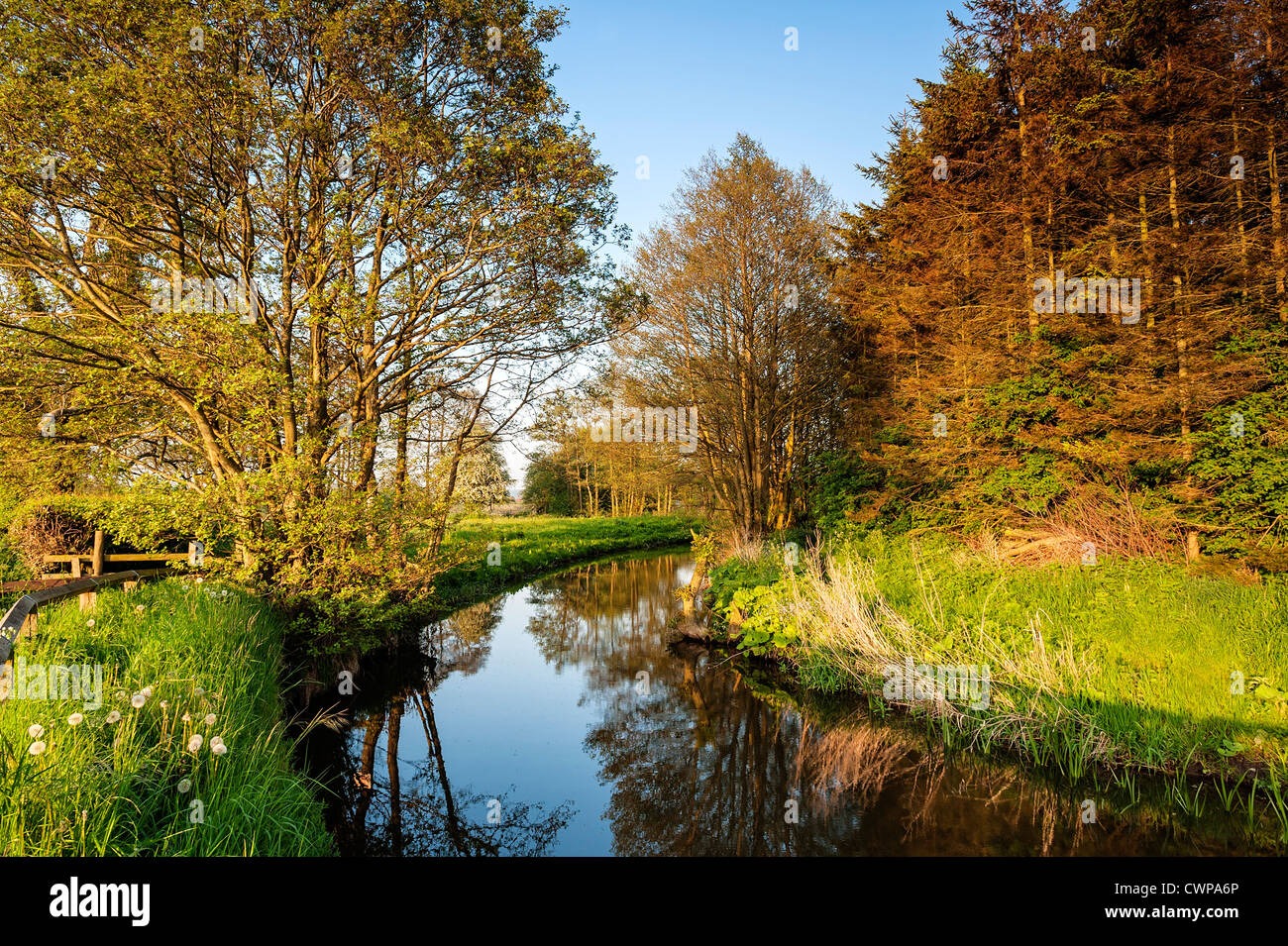 Pickering Beck captured in spring evening light Stock Photo - Alamy