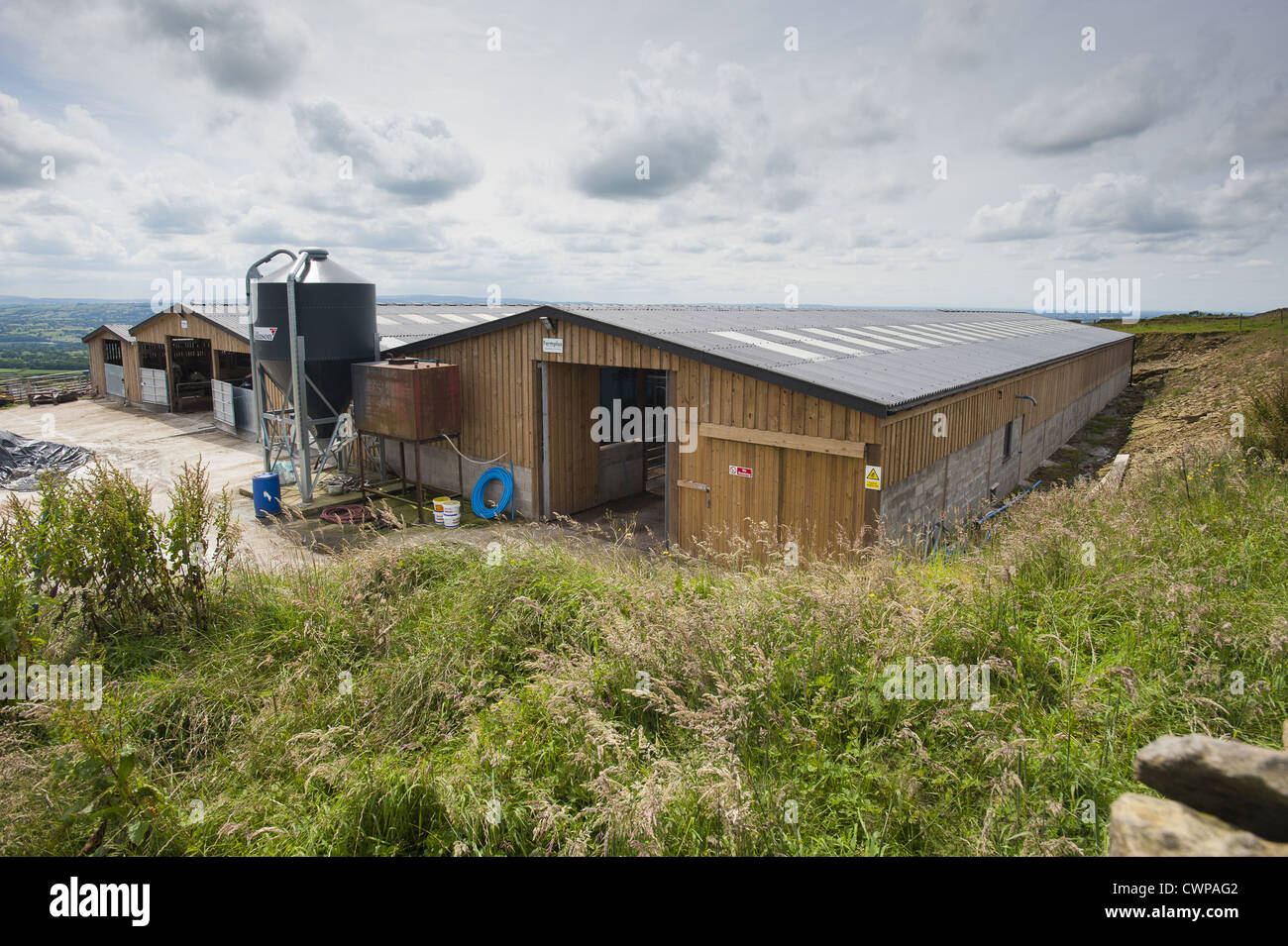 Dairy farming, wooden cubicle house and feed silo for dairy herd ...