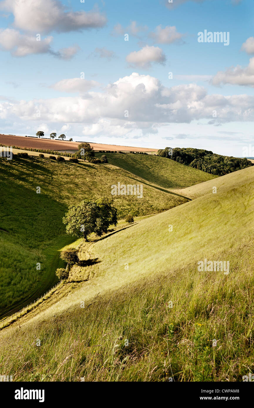 A view looking north east up Horsedale near Pocklington on the ...