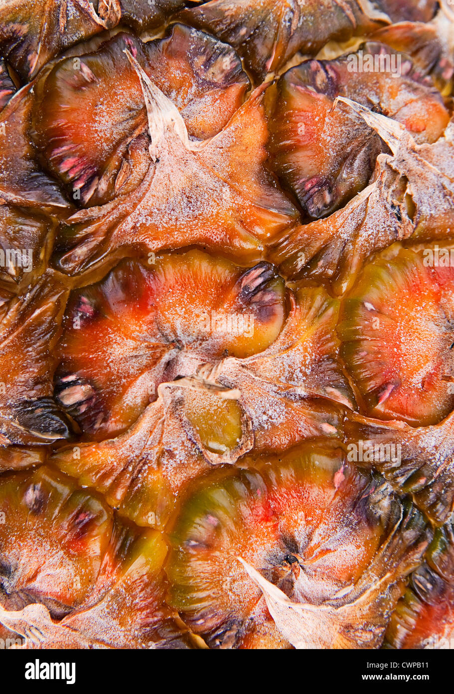 Pineapple fruit macro background Stock Photo - Alamy