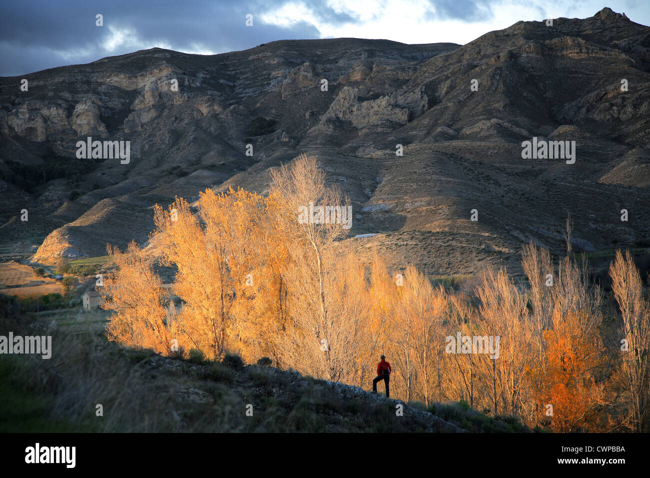 Rioja Spain High Resolution Stock Photography and Images - Alamy