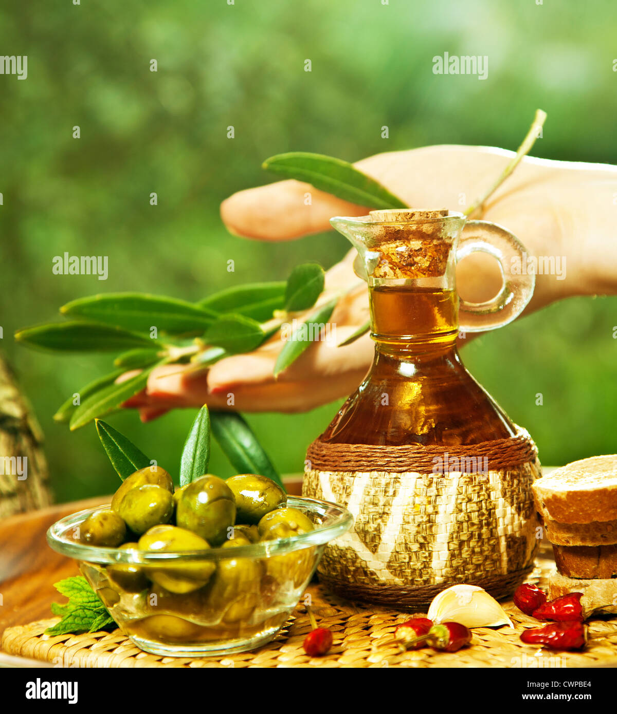 Hand holding olive branch hi-res stock photography and images - Alamy