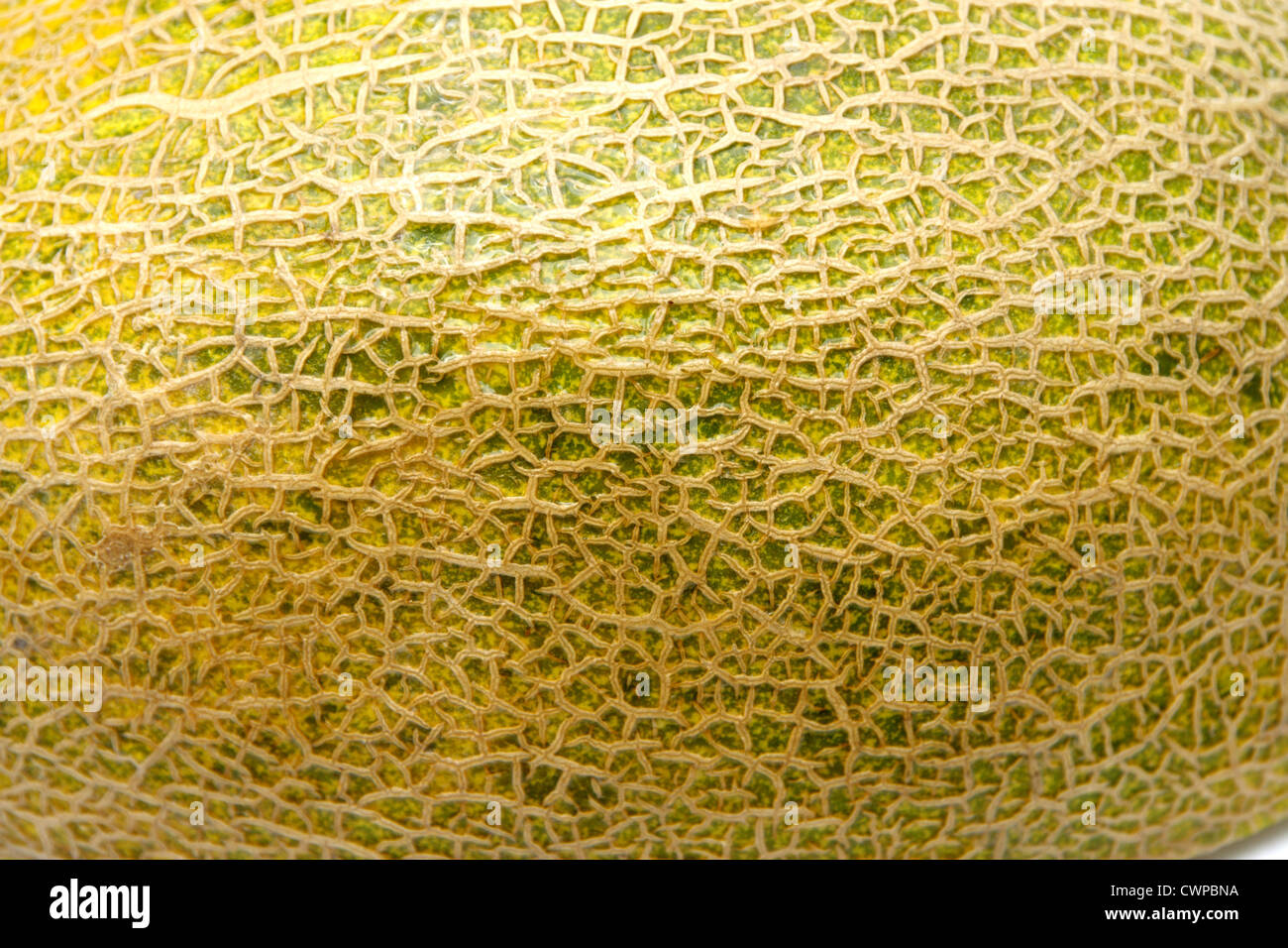Melon detail hi-res stock photography and images - Alamy