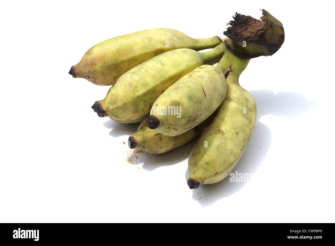Pisang Awak Banana Stock Photo - Alamy