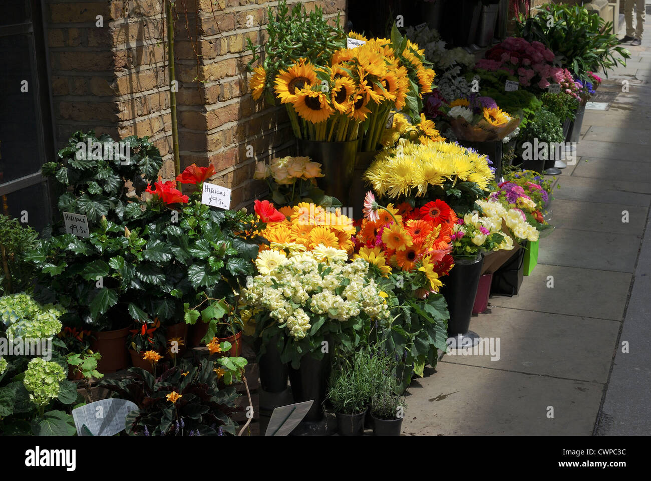 Florist shop sidewalk hi-res stock photography and images - Alamy