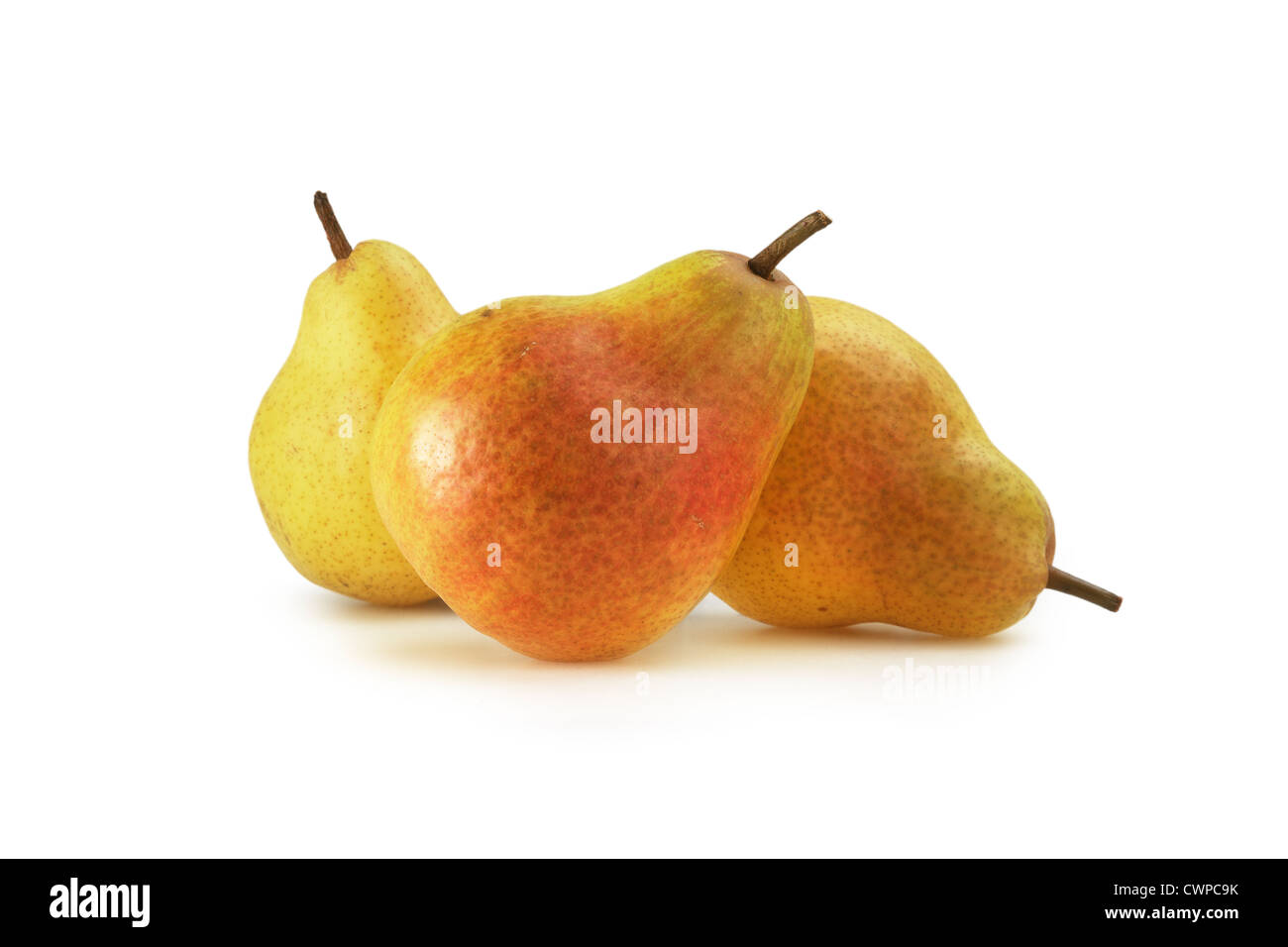 Pyrus communis, Pear Stock Photo - Alamy