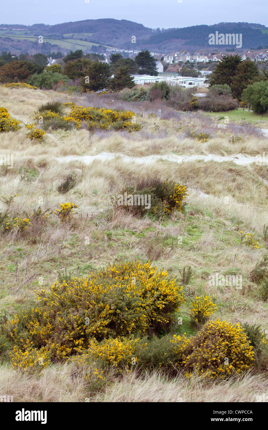 Par Beach; looking towards Par; Cornwall; UK Stock Photo - Alamy