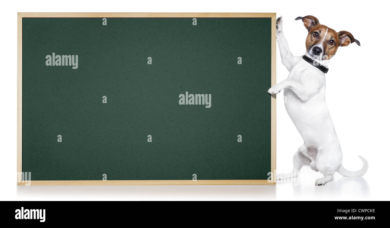 banner placeholder dog Stock Photo - Alamy