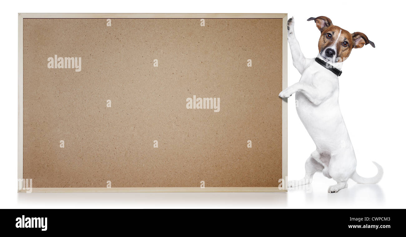 banner placeholder dog Stock Photo - Alamy