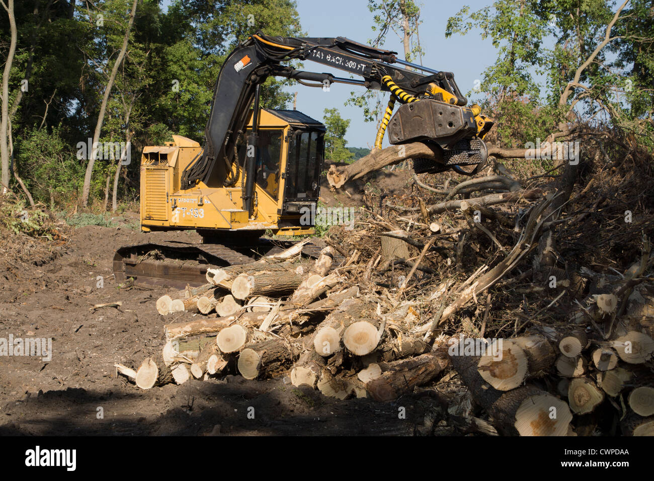 tracked logging machine cutting trees and stacking logs Stock Photo - Alamy