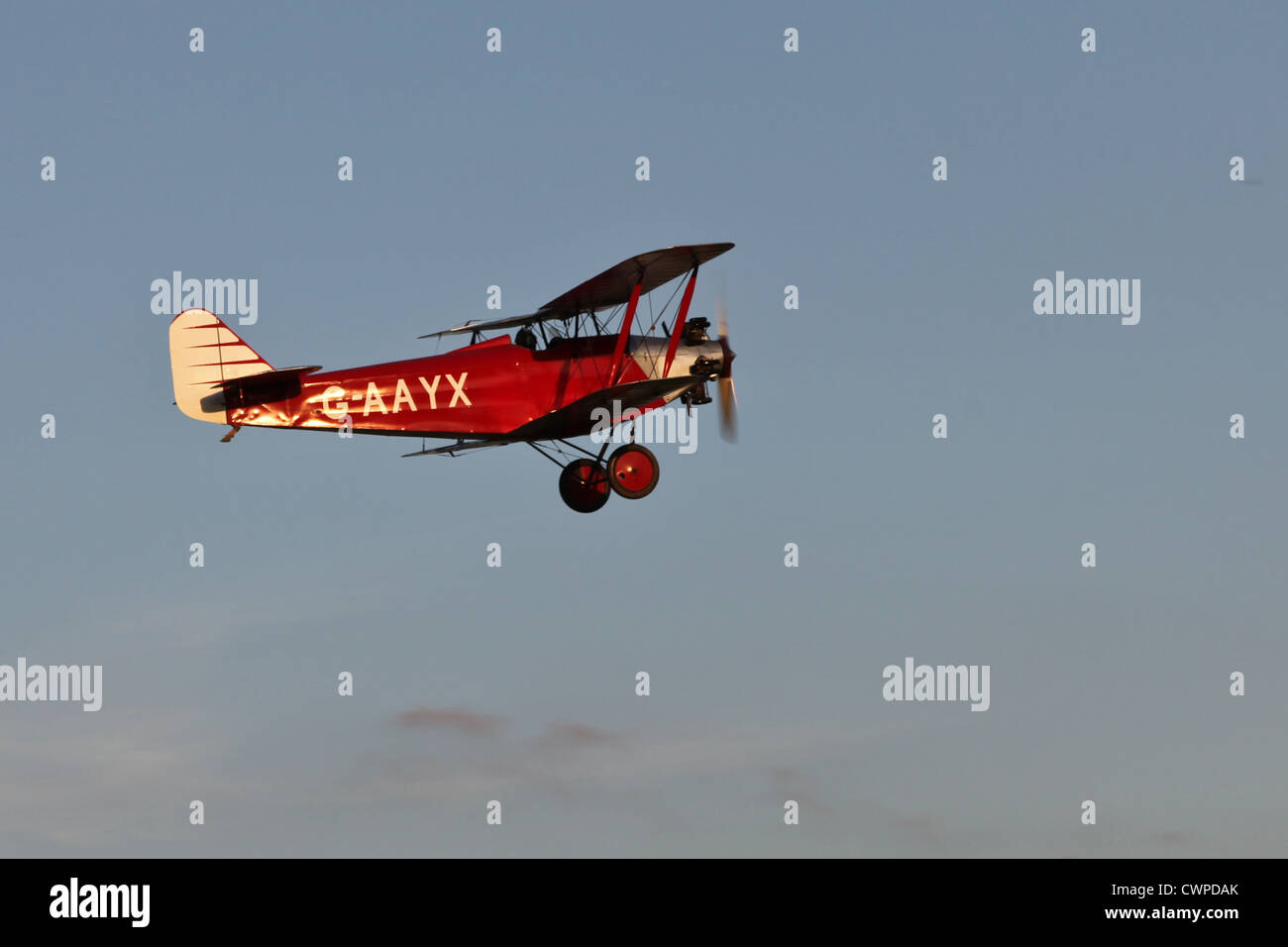 Southern Martlet 1930 Stock Photo - Alamy