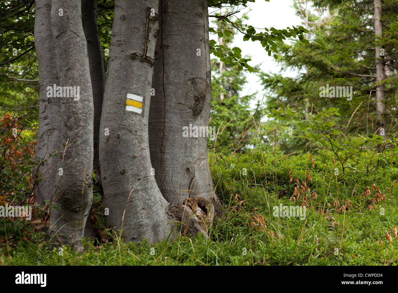 Sign trail hi-res stock photography and images - Alamy