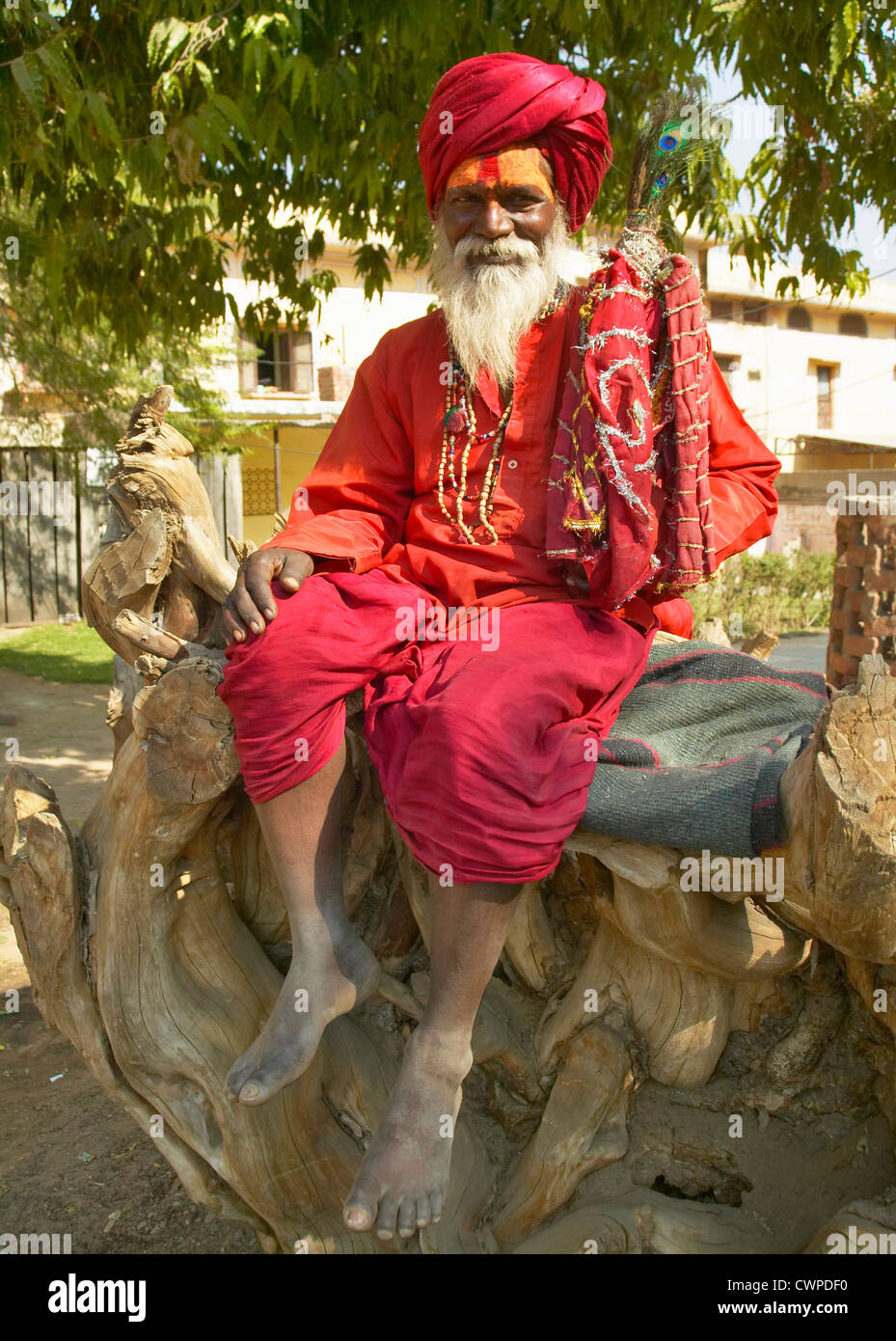 JAIPUR MAN SITTING ON TREE TRUNK Stock Photo - Alamy