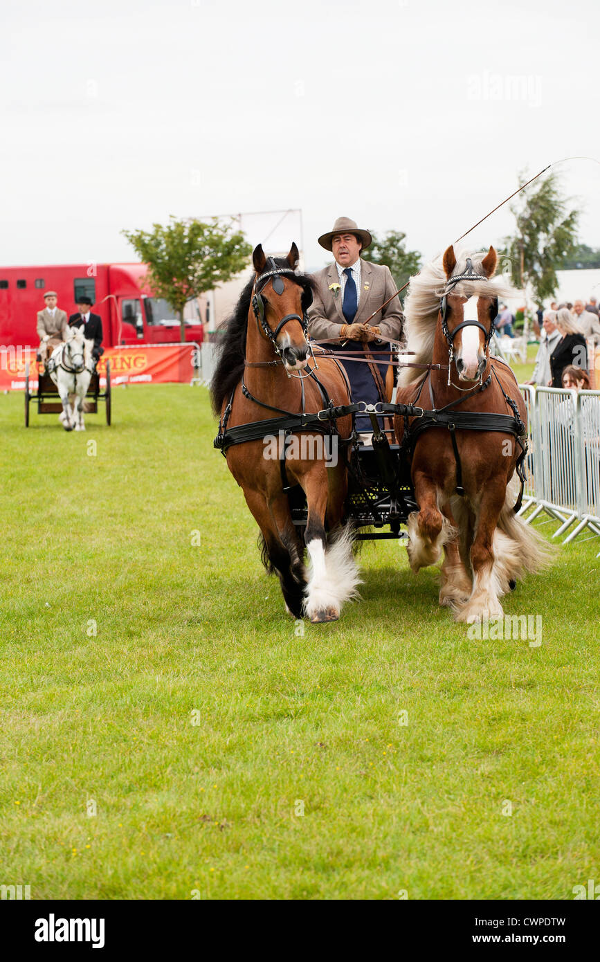 Orsett show hi-res stock photography and images - Alamy