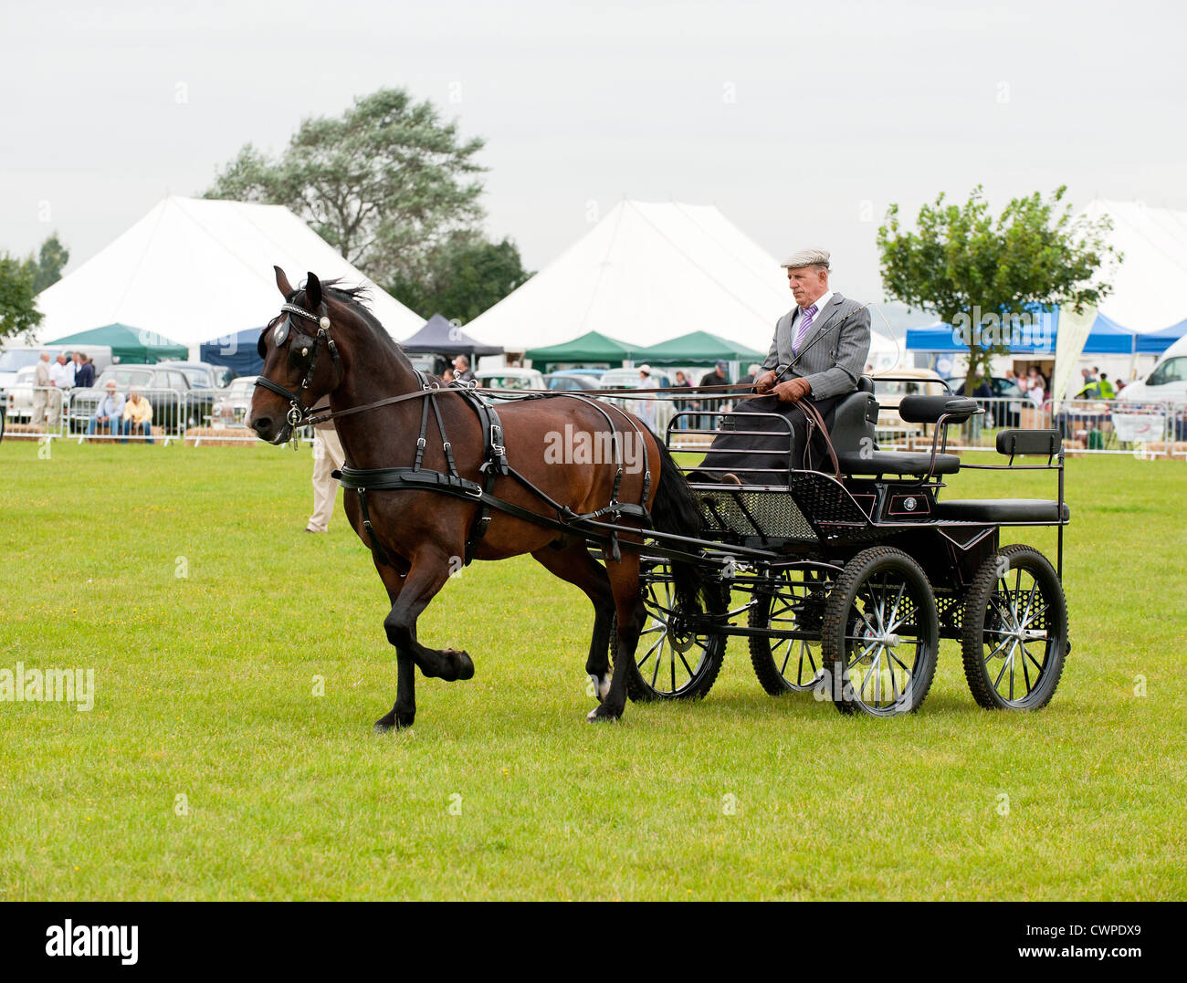A horse and carriage at the Orsett Country Show in Essex Stock Photo ...