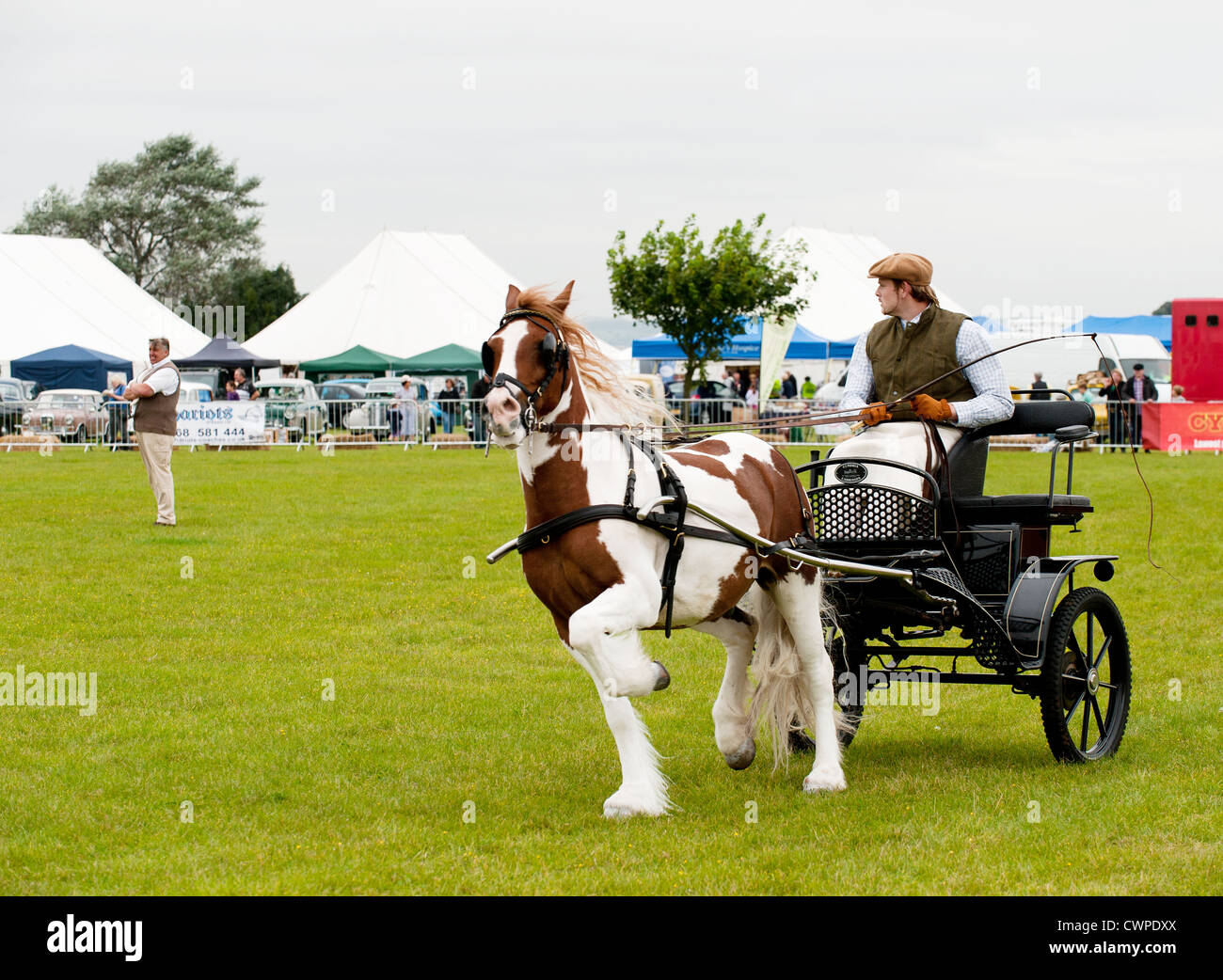 A horse and carriage at the Orsett Country Show in Essex Stock Photo ...