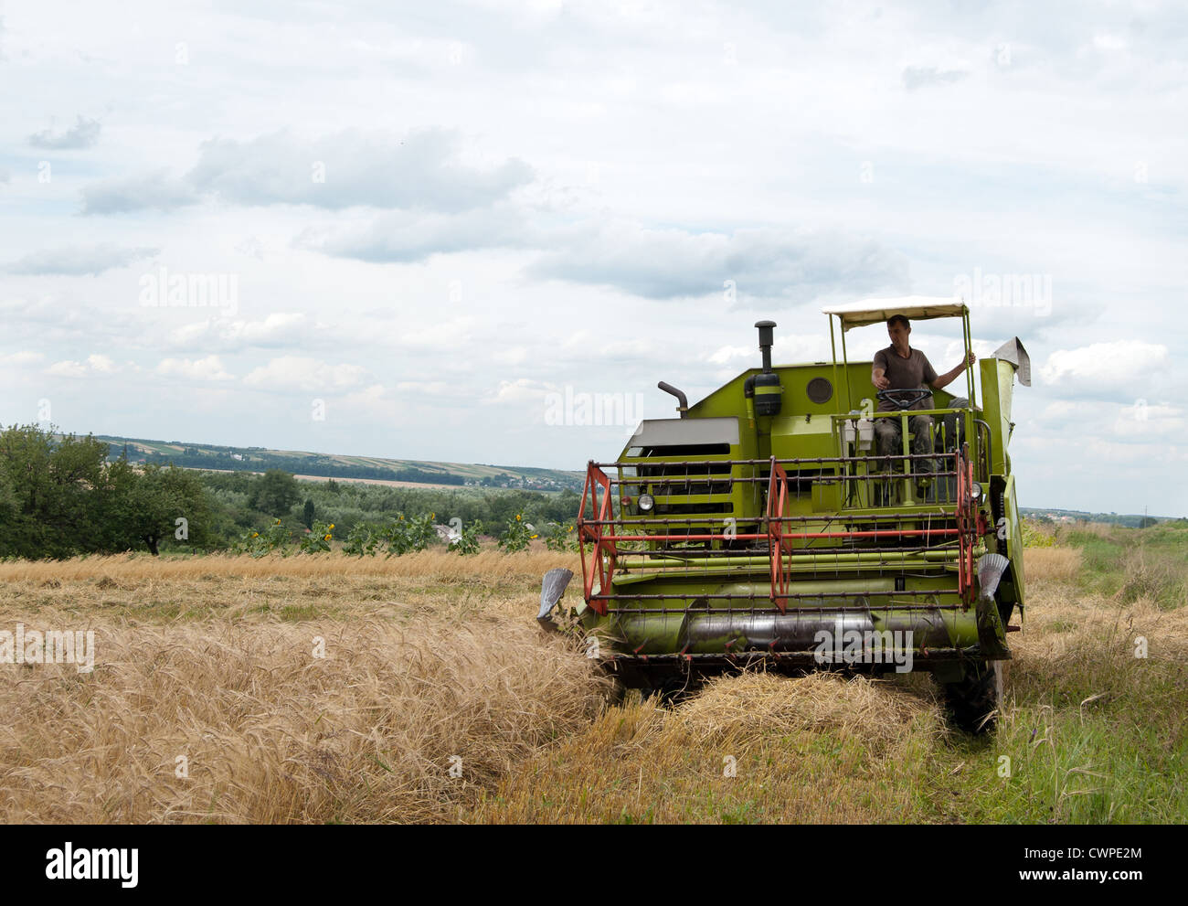 green combine harvesting a wheat field Stock Photo - Alamy