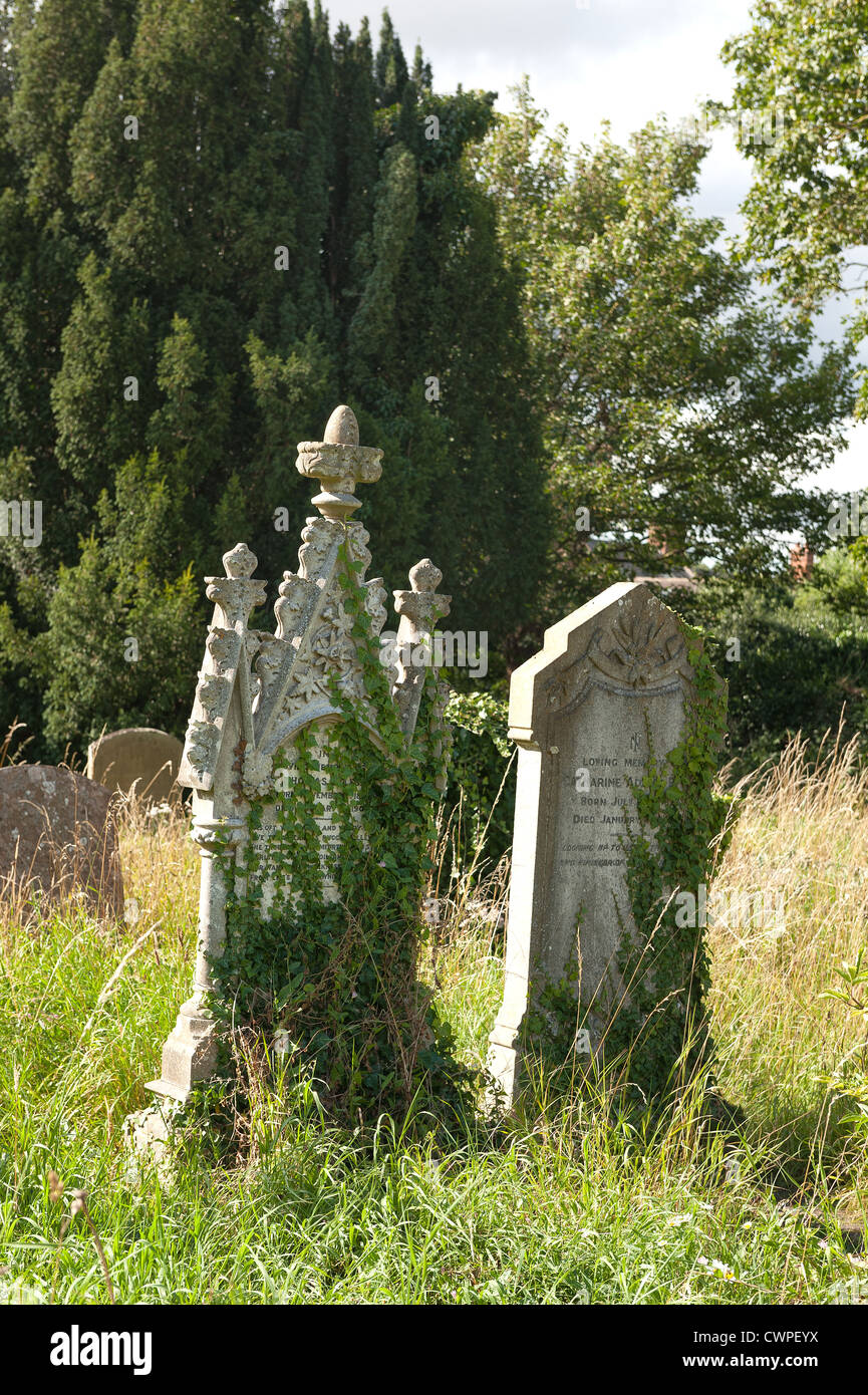 hidden graveyard left to play out natural wildlife colonization for a ...