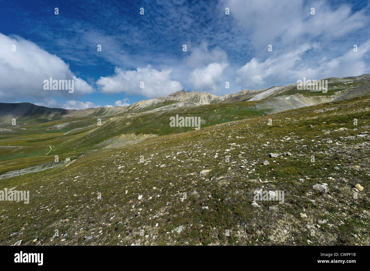 alpine grassland in the Susa valley, Piedmont, Italy Stock Photo - Alamy