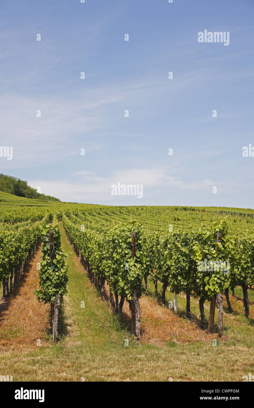 Alsace Countryside High Resolution Stock Photography and Images - Alamy