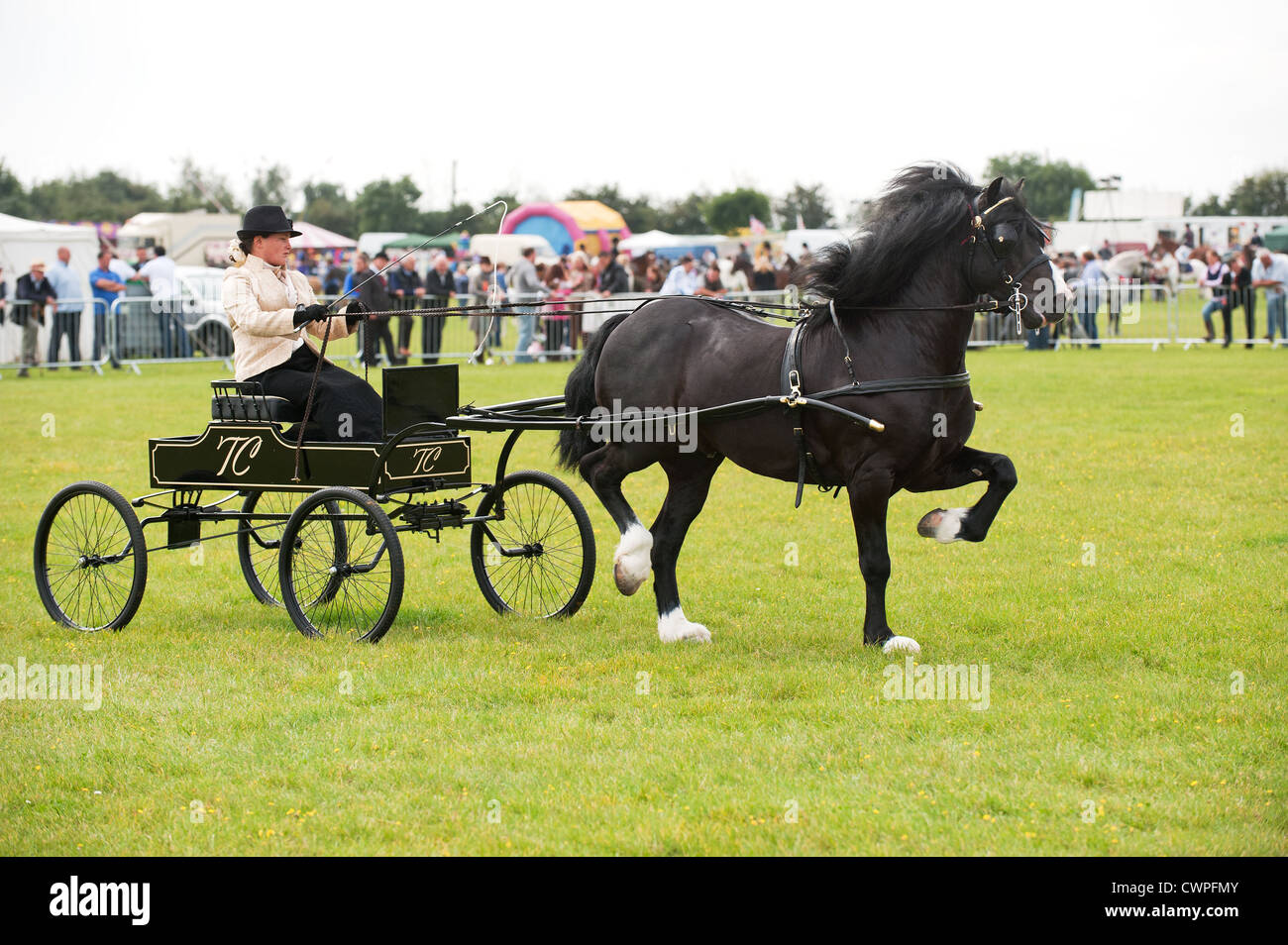A horse and carriage at the Orsett Country Show in Essex Stock Photo ...