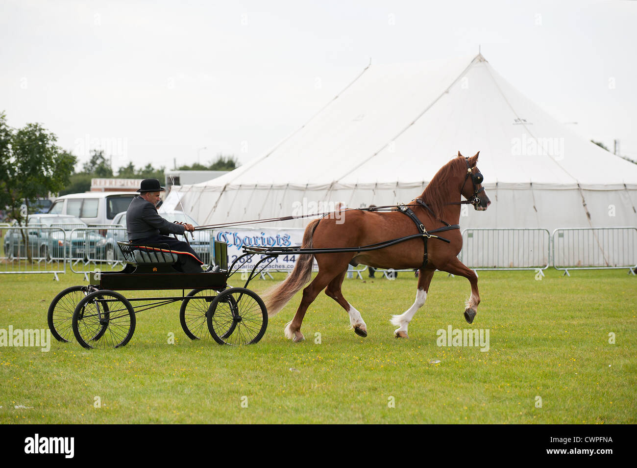 A horse and carriage at the Orsett Country Show in Essex Stock Photo ...