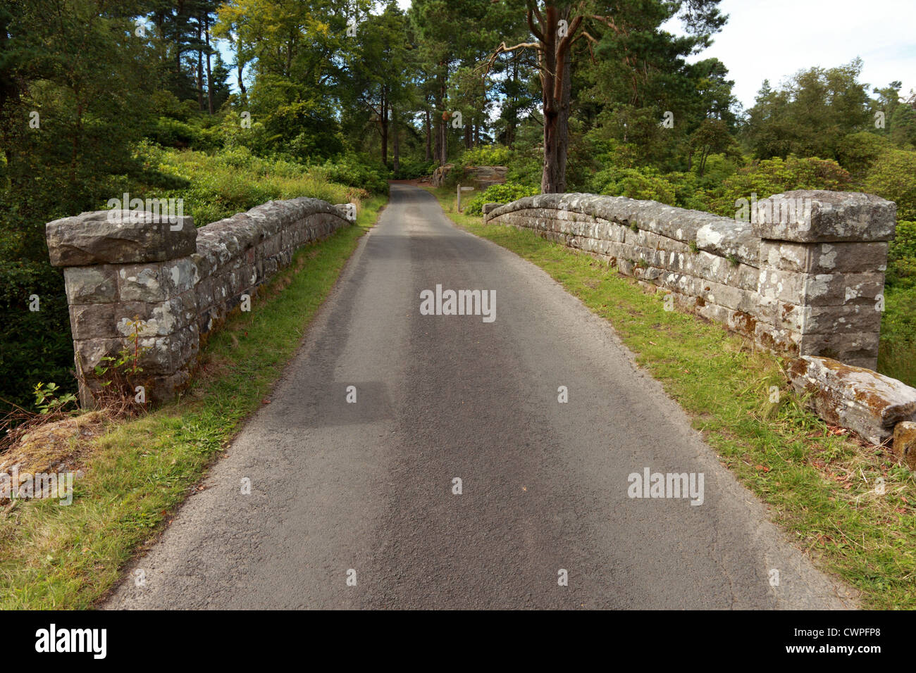 Traditional stone bridge with road, Northumberland UK Stock Photo - Alamy