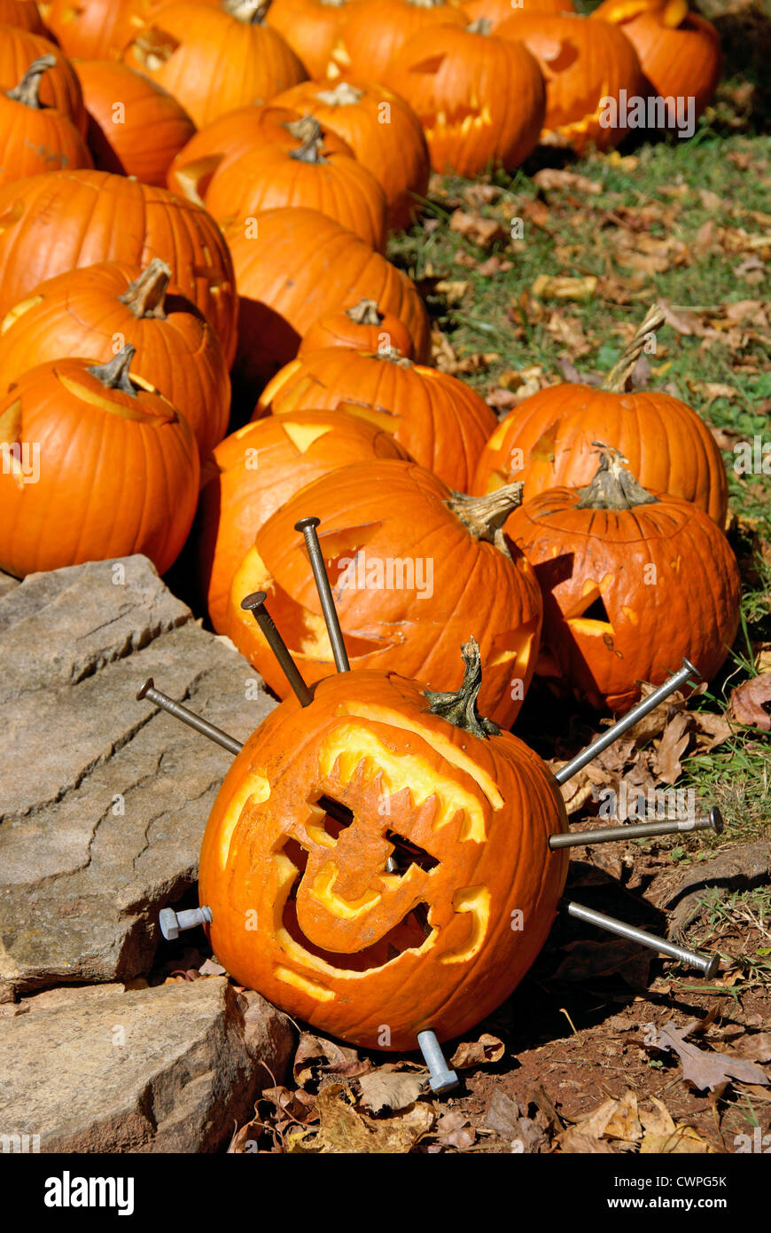 Carved pumpkins hi-res stock photography and images - Alamy
