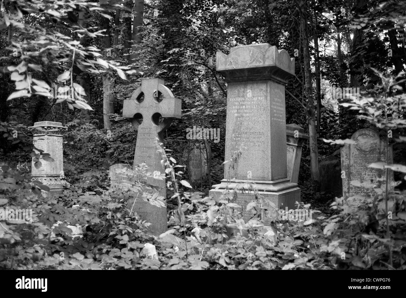 Abney garden cemetery, Stoke Newington, London, UK. Black and White ...