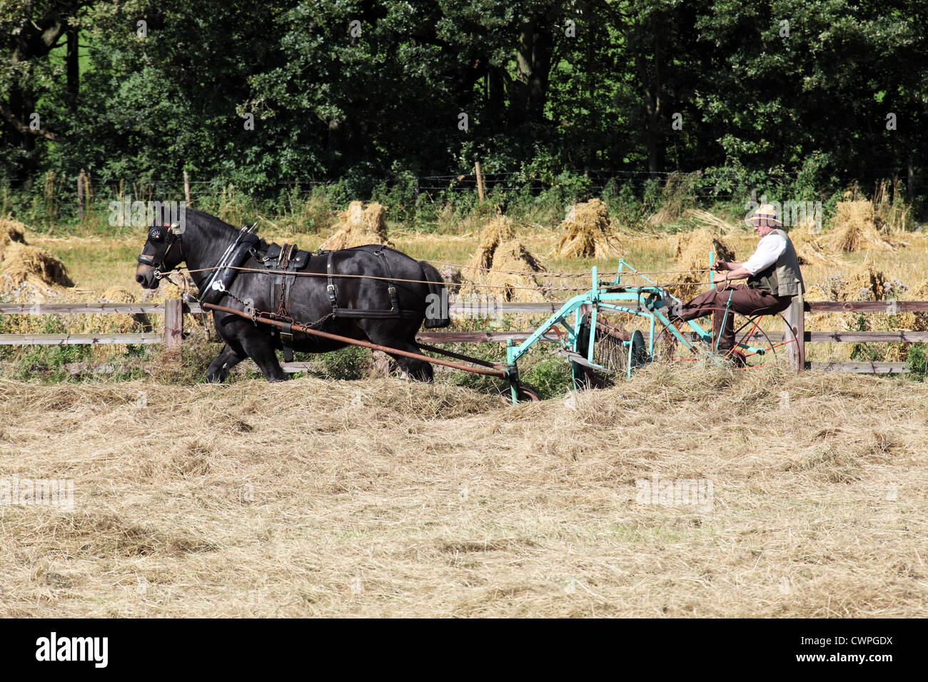 Horse hay rake hi-res stock photography and images - Alamy