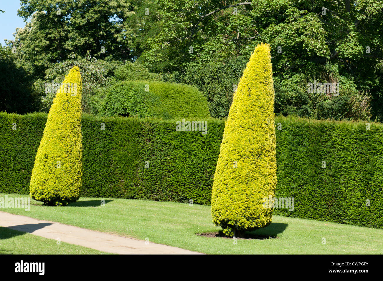 Formal Garden in the English tradition showing planted formal hedge and ...