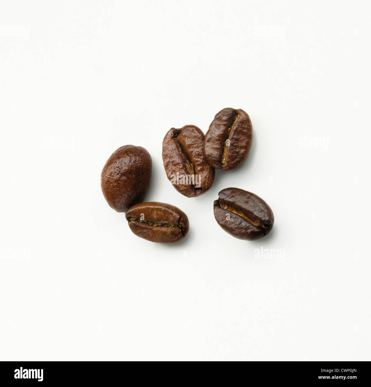 Coffea arabica, Coffee Stock Photo - Alamy