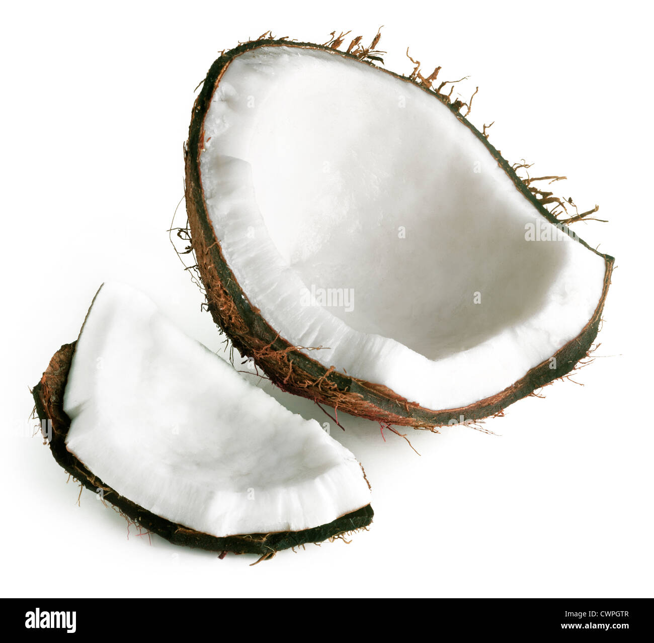 Cocos nucifera, Coconut shell on a white background broken in half ...